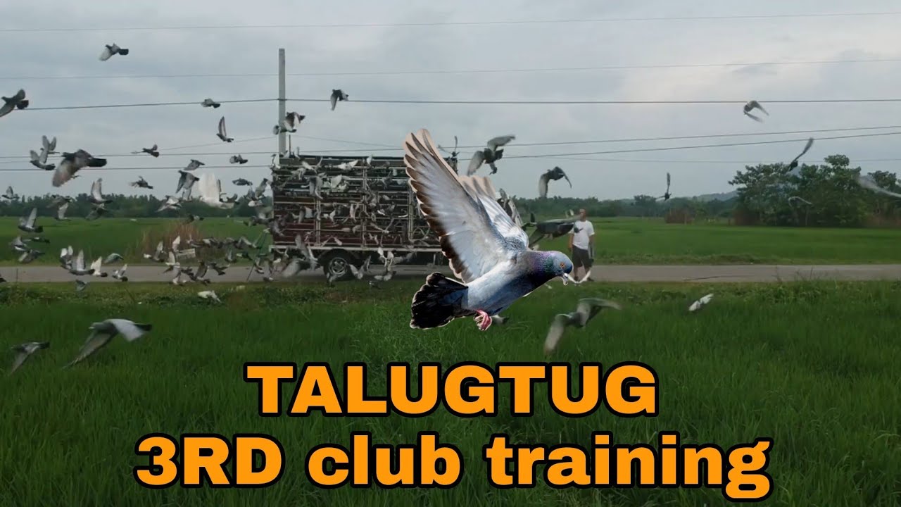 3RD CLUB TRAINING FUN RACE CLRPC - YouTube