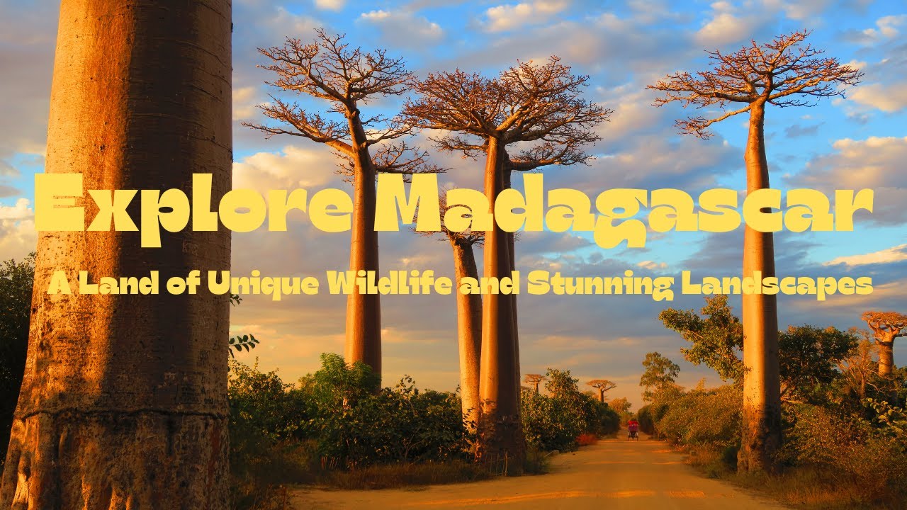 Explore Madagascar: A Land of Unique Wildlife and Stunning Landscapes ...