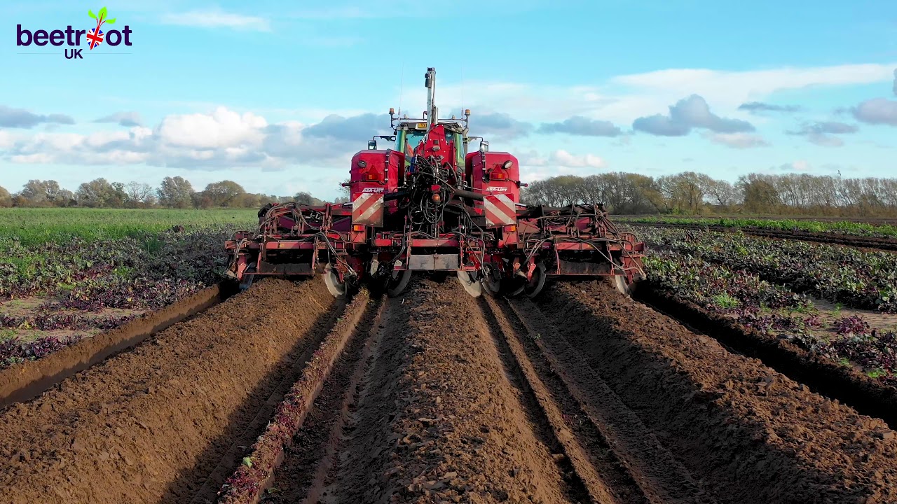 Beetroot Farming - Topper and Coverer - British Farming Innovation ...