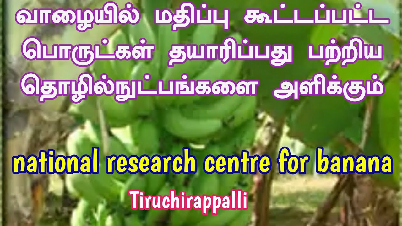 Value addition in banana | National Research Centre for banana | NRCB ...