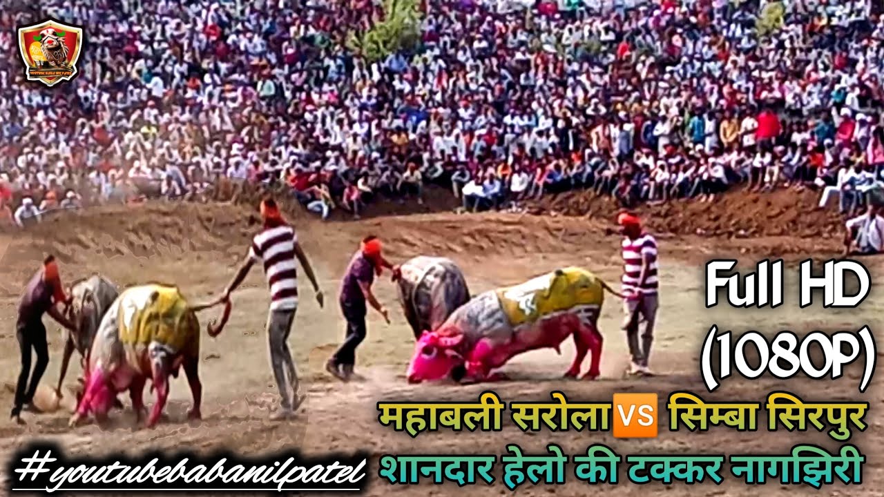 महाबली सरोला🆚 सिम्बा सिरपुर|nagjhiri hello ki takkar|full HD(1080p ...