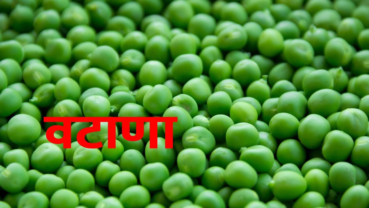 वटाणा पिकाची लागवड कशी करावी | Vatana crop | - YouTube