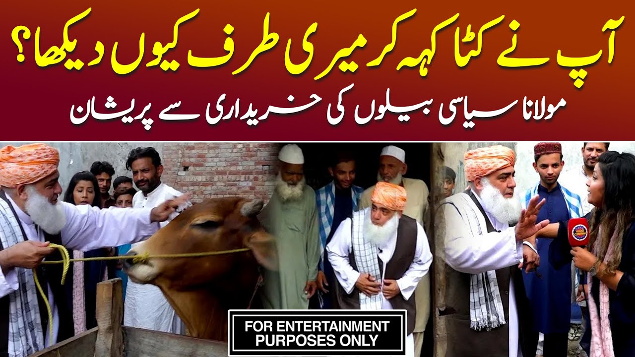 Eid Ul Adha Special With Dummy Maulana: Bakra Mandi Shopping # ...