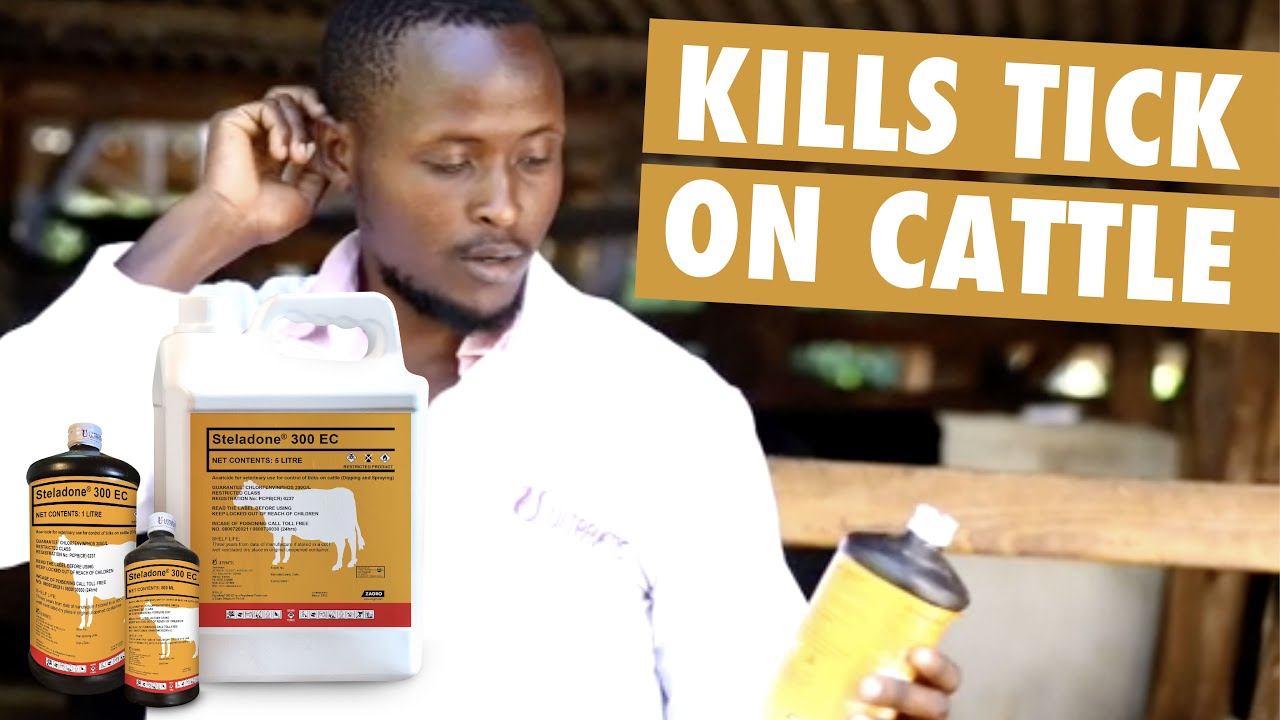 Customer Testimonial - Steladone Product, Tanzania - YouTube