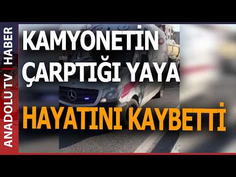 CADDE ÜZERİNDE CAN PAZARI!