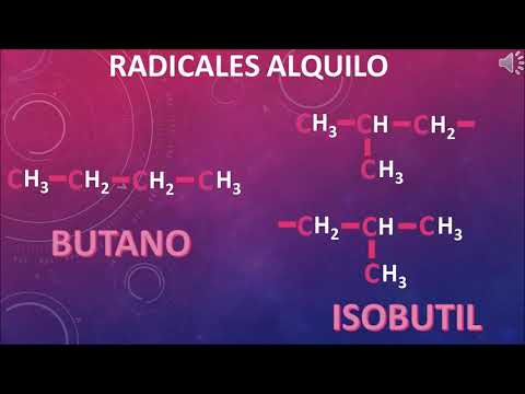 RADICALES ALQUILO