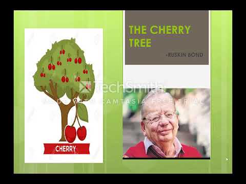 The Cherry Tree- Part 1 - YouTube