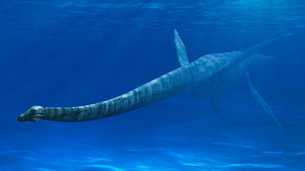 Elasmosaurus DINOSAURS IN THE JUNGLE | JURASSIC WORLD DOMINION ...