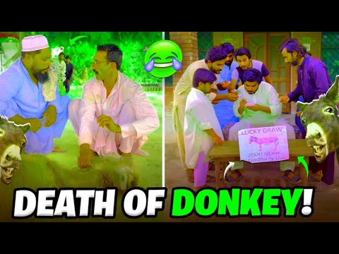 The Death of donkey - YouTube