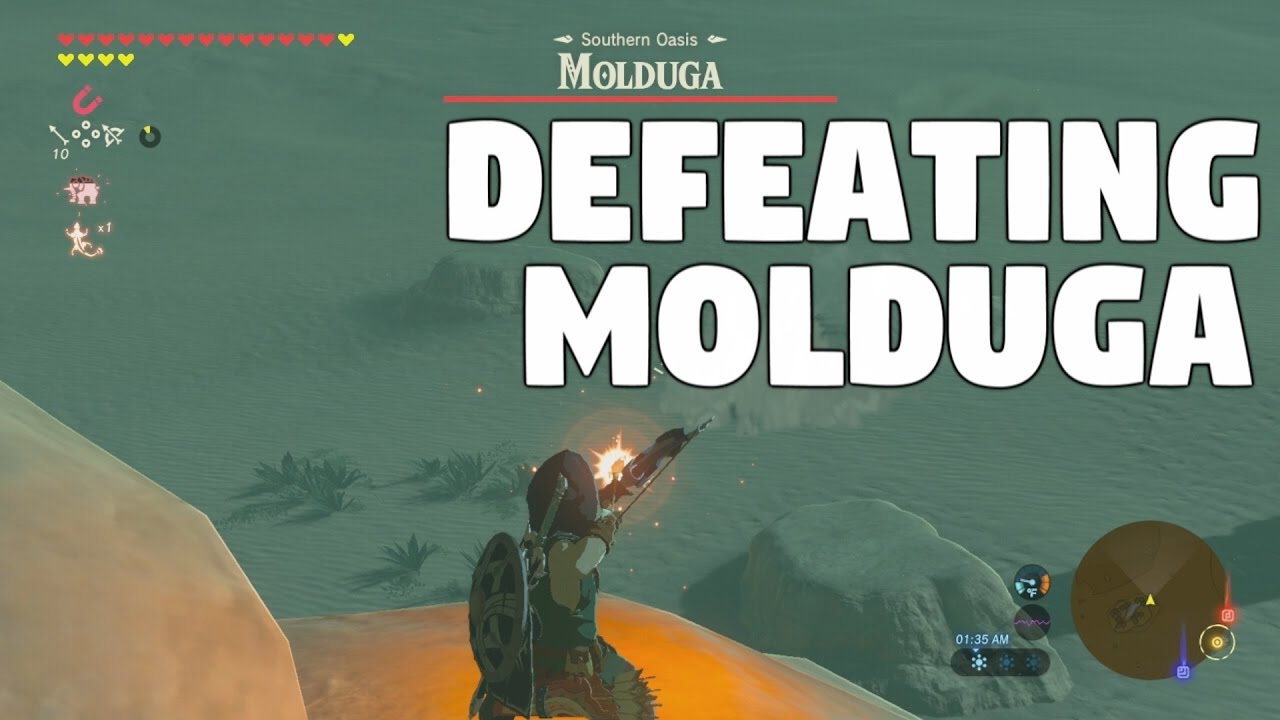 The Legend of Zelda: Breath of the Wild Gameplay - Molduga - YouTube