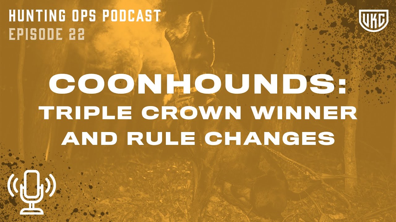 UKC Hunting Ops Podcast Ep 22 Coonhounds Triple Crown Winner And ukc-hunting-ops-podcast-ep-22-coonhounds-triple-crown-winner-and