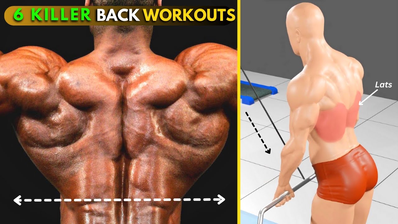 Get huge Back muscle with these effective exercises | Fitmology - YouTube