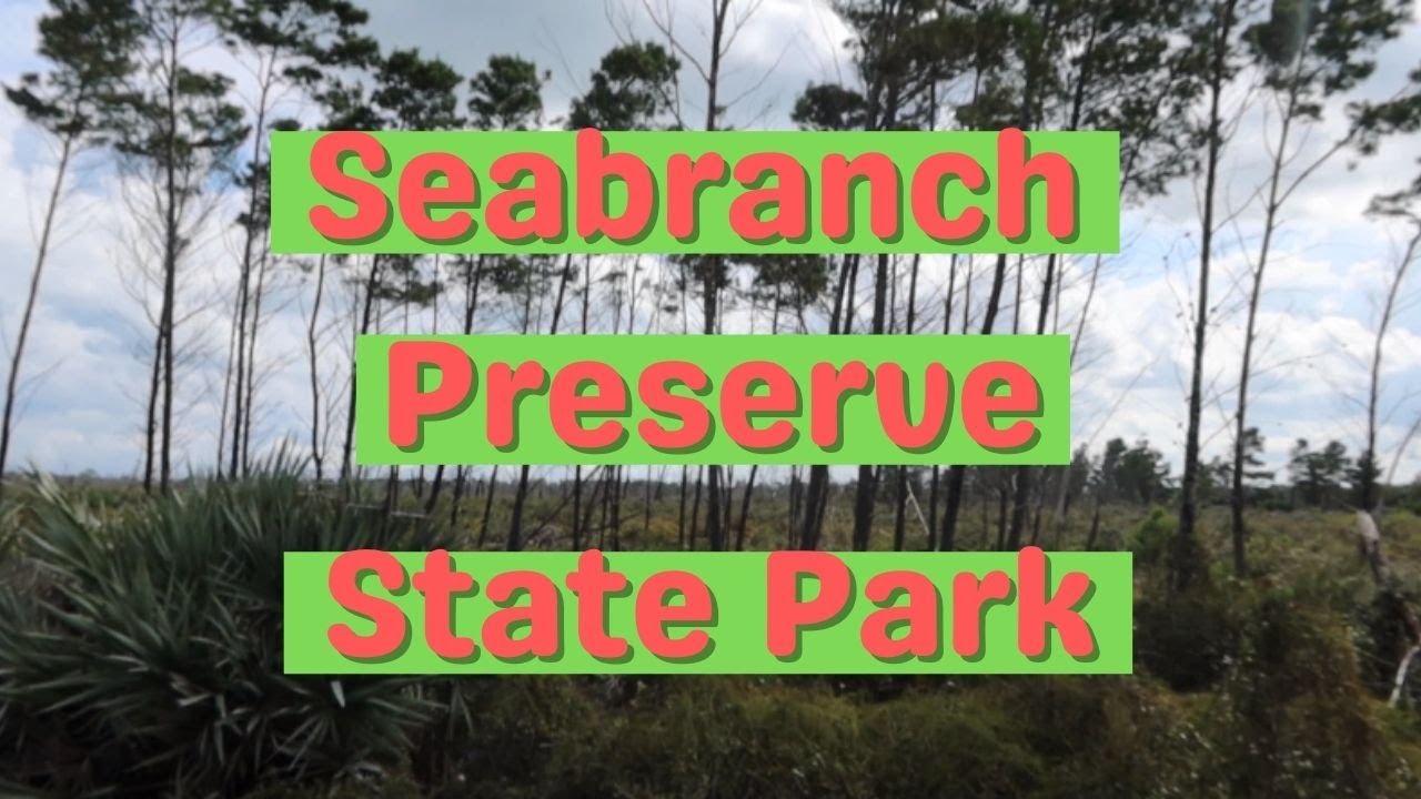 Seabranch Preserve State Park | Port Salerno, Martin County, FL - YouTube