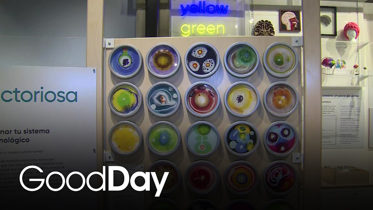 Fuel your kids curiosity and love for space at the museum of science ...