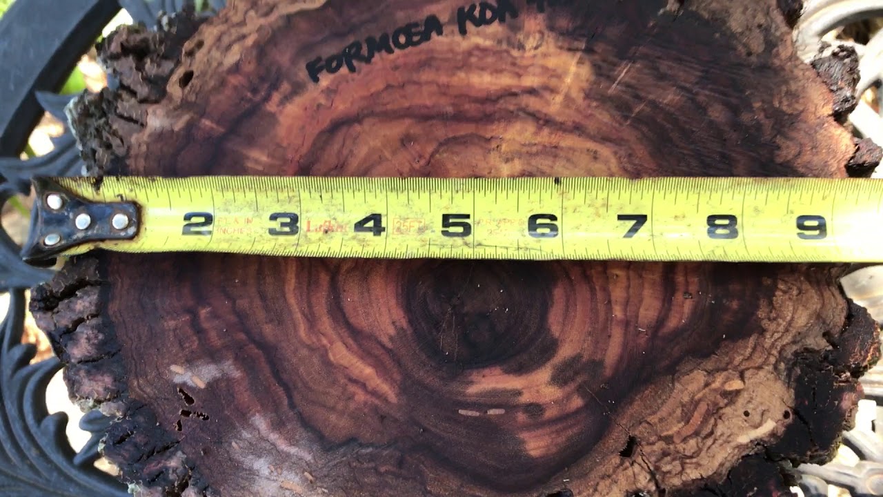 Hawaiian Formosa Koa Bowl Blank Log joelinhawaii eBay Auction 403 - YouTube