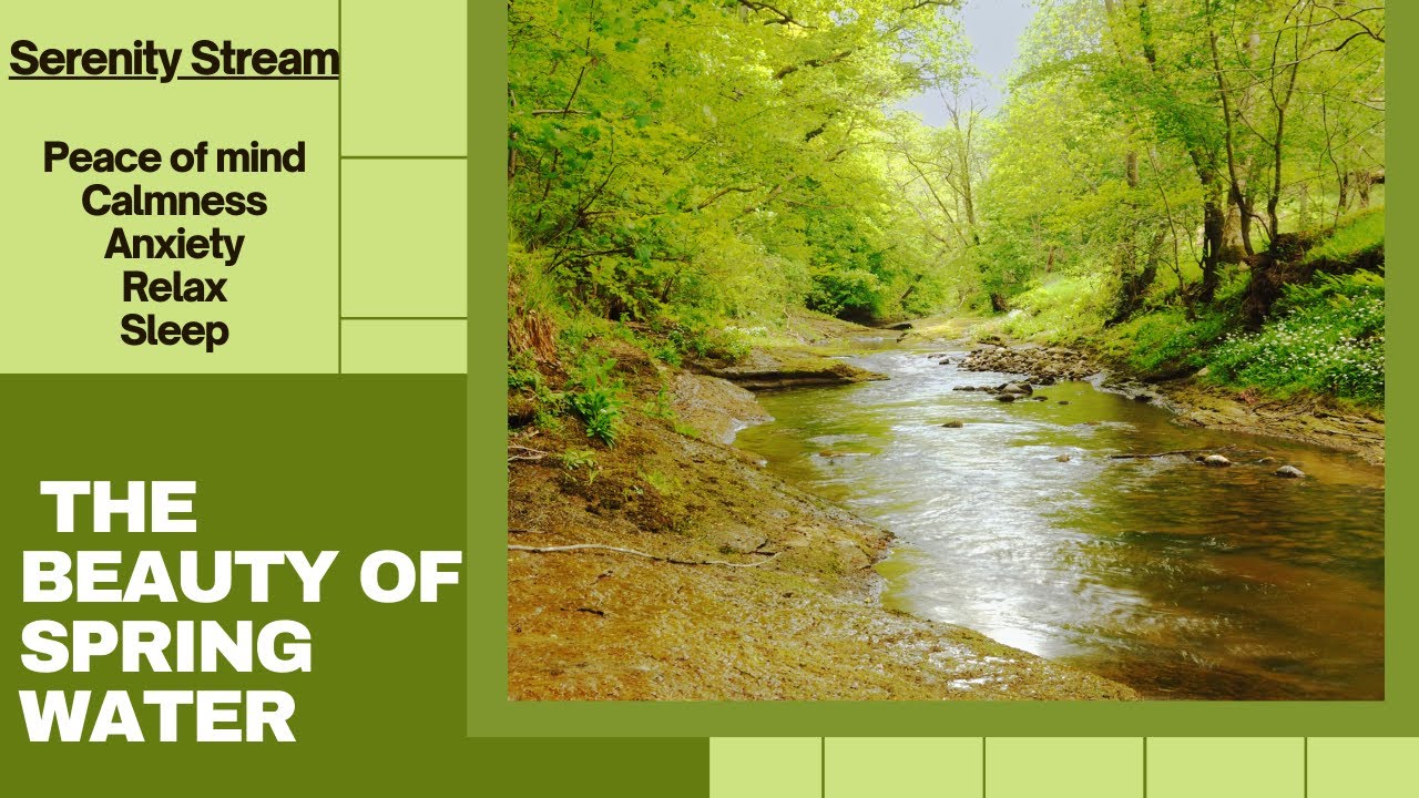 Relaxing nature sounds to relax, relief stress, improve mood, unwind ...