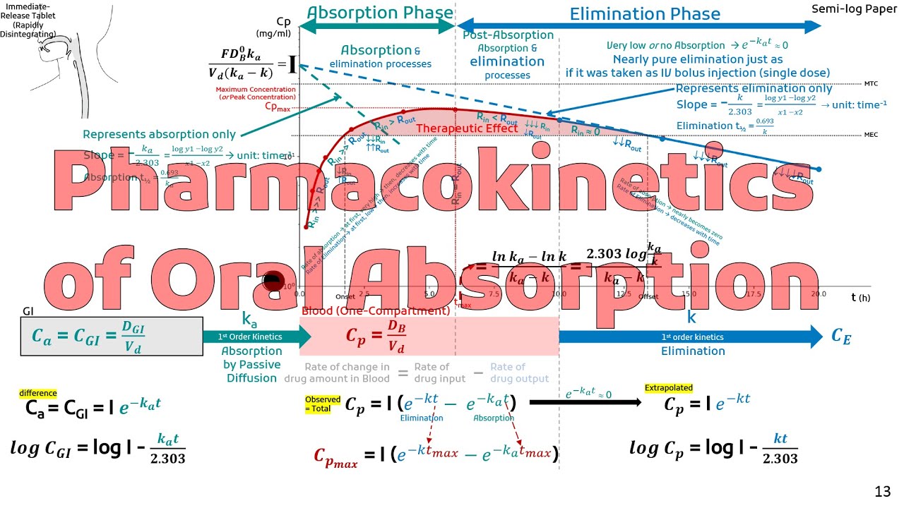 Pharmacokinetics of Oral Absorption and Feathering Method | Chapter 10 ...