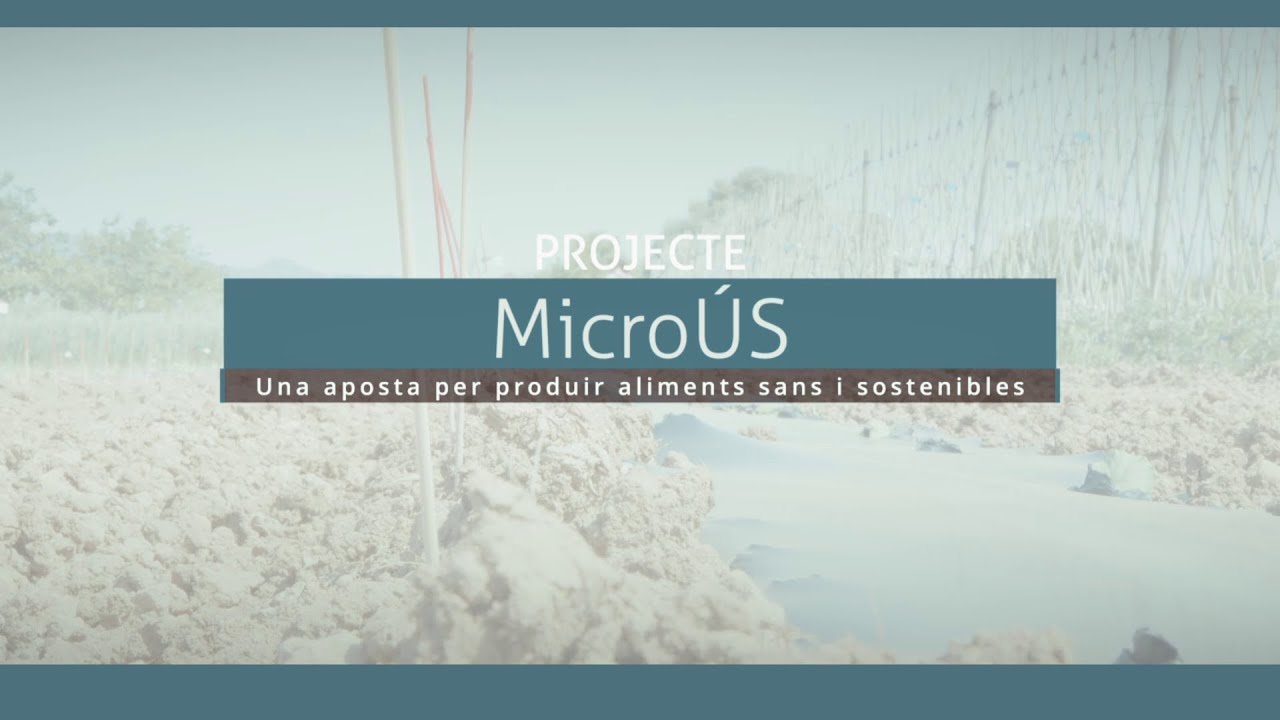 Projecte microÚS - Reducció de l'ús de coure en cultius hortícoles ...