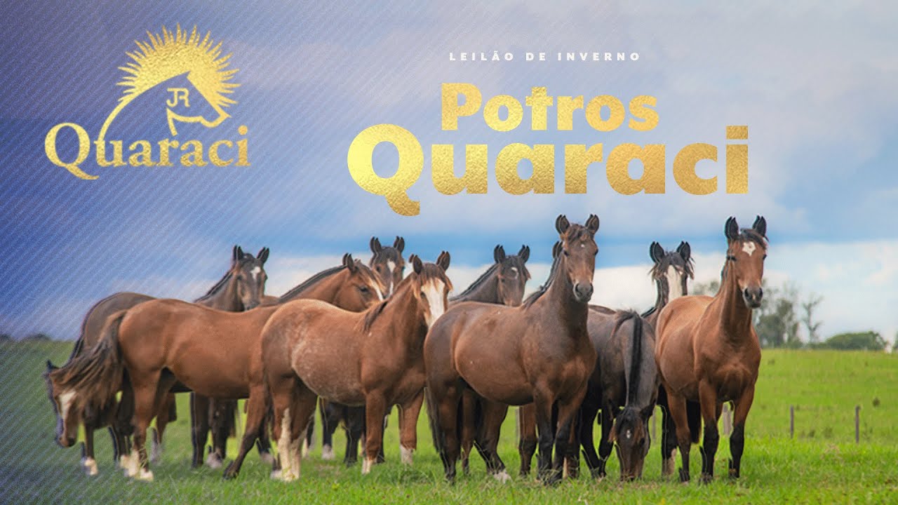 LOTE 02 - Figura de Quaraci - YouTube