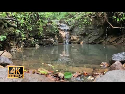 Meethirigala Nissarana Vanaya-මීතිරිගල නිස්සරණ වනය - YouTube