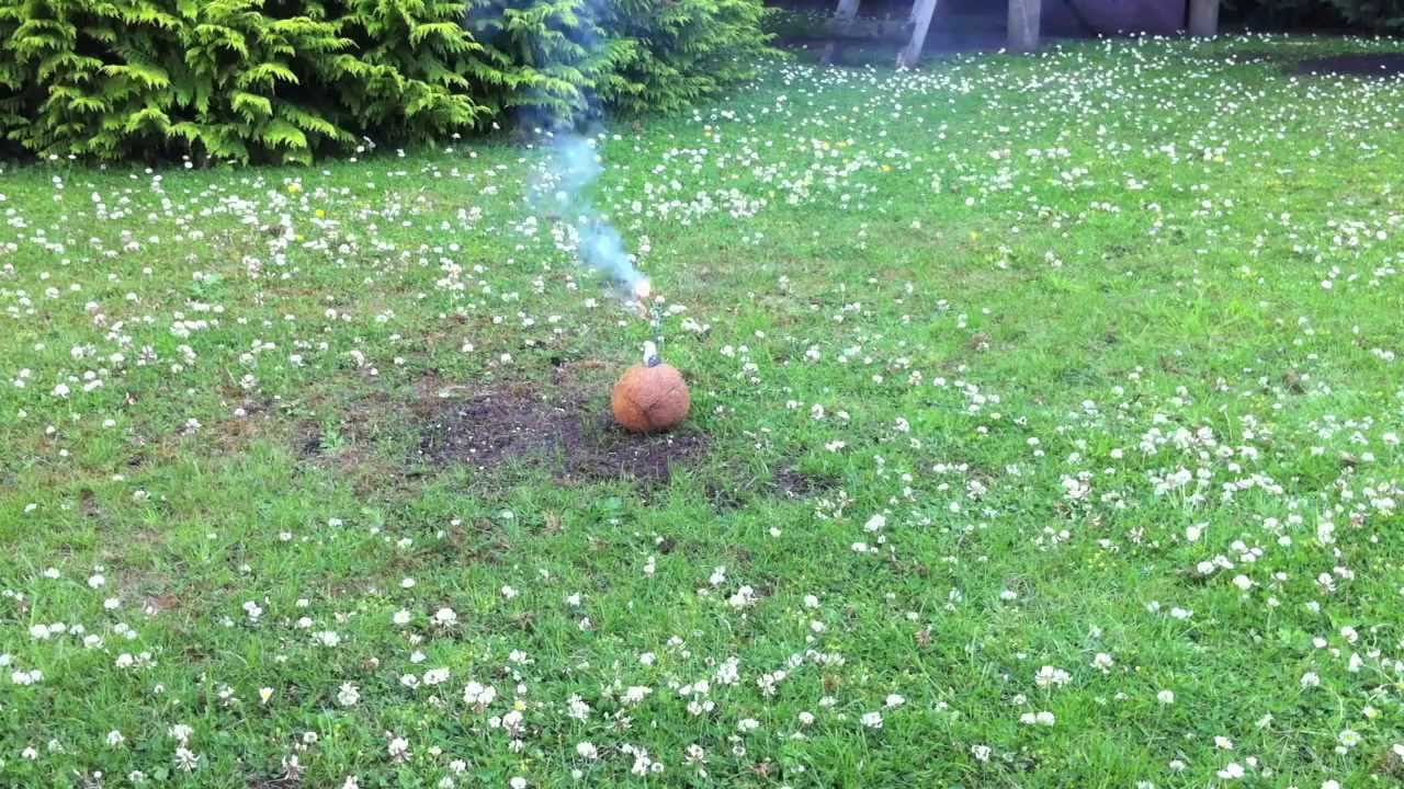 Blowing up a Coconut with Dynamite - YouTube