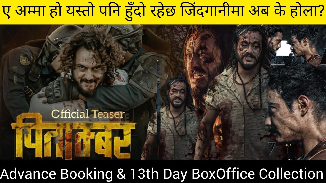 Pitambar 13th Day BoxOffice Collection ll New Nepali Movie 2025 ll ...