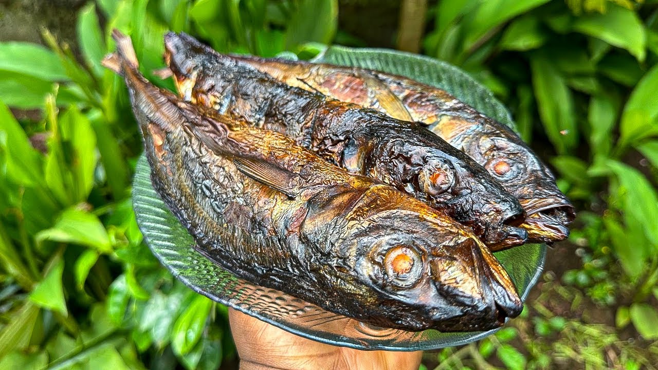 How to Smoke Mackerel/Titus Fish For home use & Exportation |No Oven ...