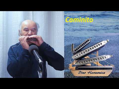 Caminito : Harmonica