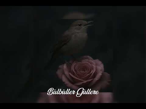 Bülbüller Güllere Gündüzler Geceye - Yeni Nesil Cover