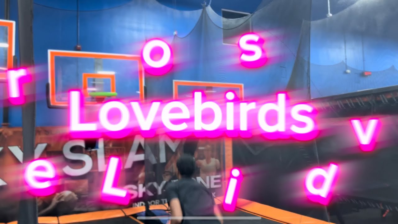 Rax Max - Lovebirds (official music video) - YouTube