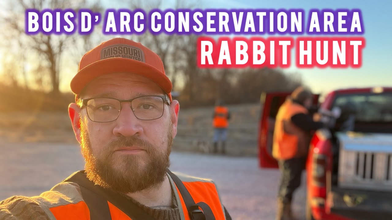 Missouri Public Land Rabbit Hunt with Beagle Dogs - YouTube