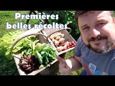 Premières belles récoltes de l'année - YouTube