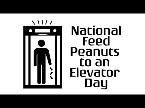 National Feed Peanuts to an Elevator Day - YouTube