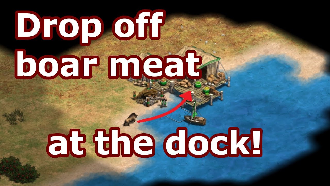 AoE II DE - dropping off boar meat at the dock - YouTube