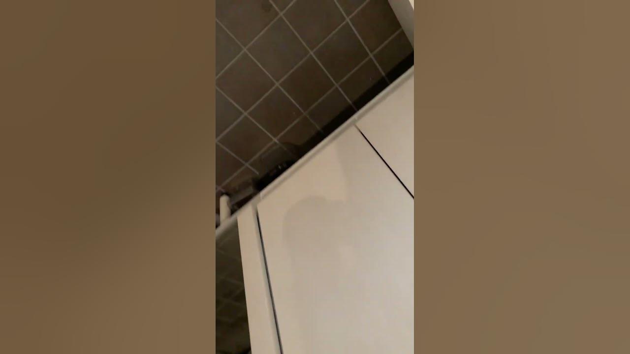 来たな、お前か⁉️まっくろくろすけ‼️ Youtube