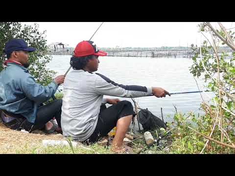 Sensasi strike ikan nila bikin jengkel ABG polos