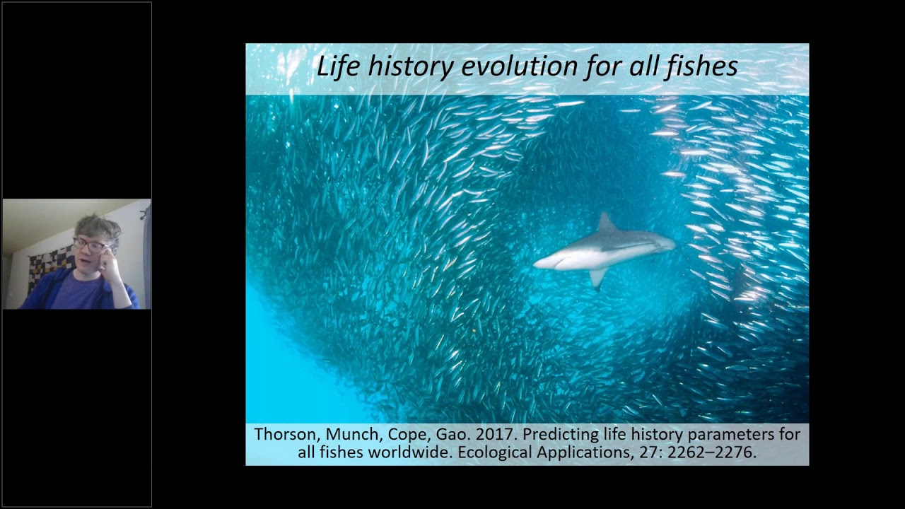 Data Integrated Models for Life History Parameters, and Suggestions for ...