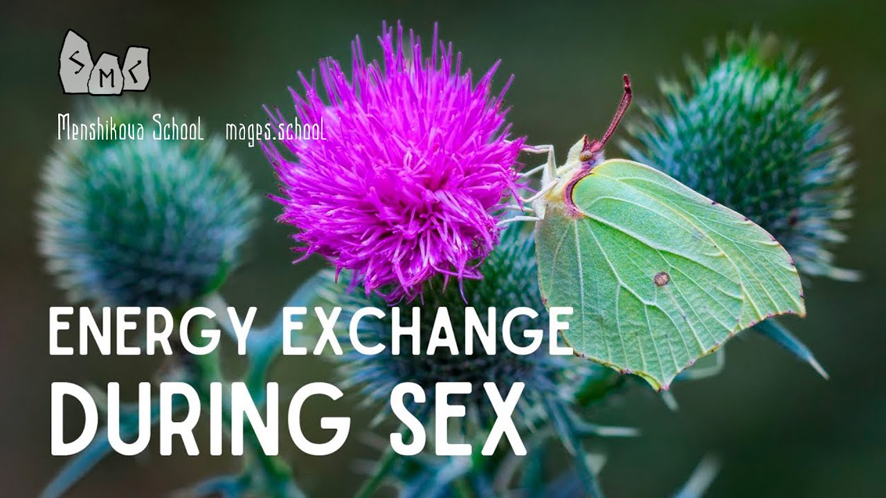 What Type Of Energy Exchange Happens During Sex? - YouTube