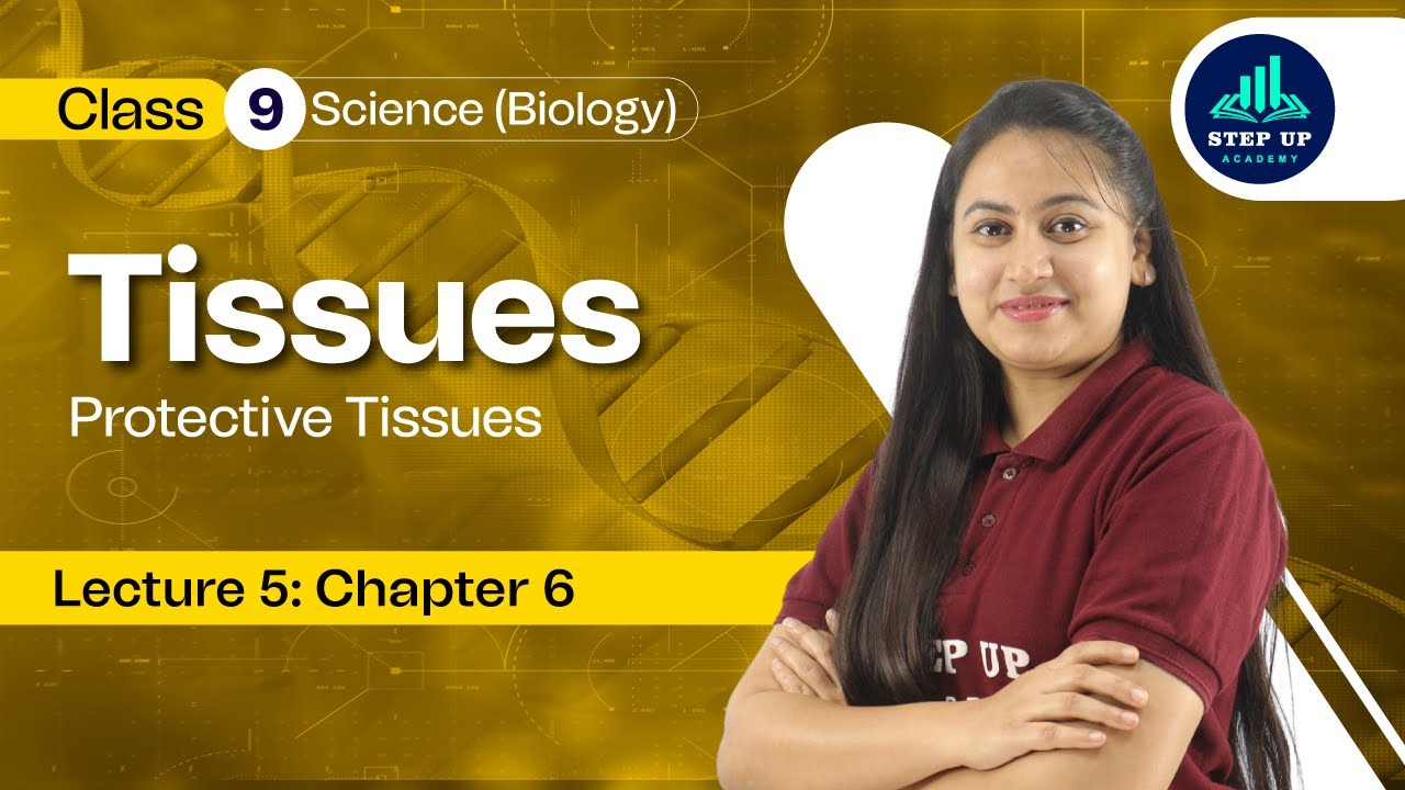 Protective Tissues - Tissues - Chapter 6 | L5 | Class 9 Biology - YouTube