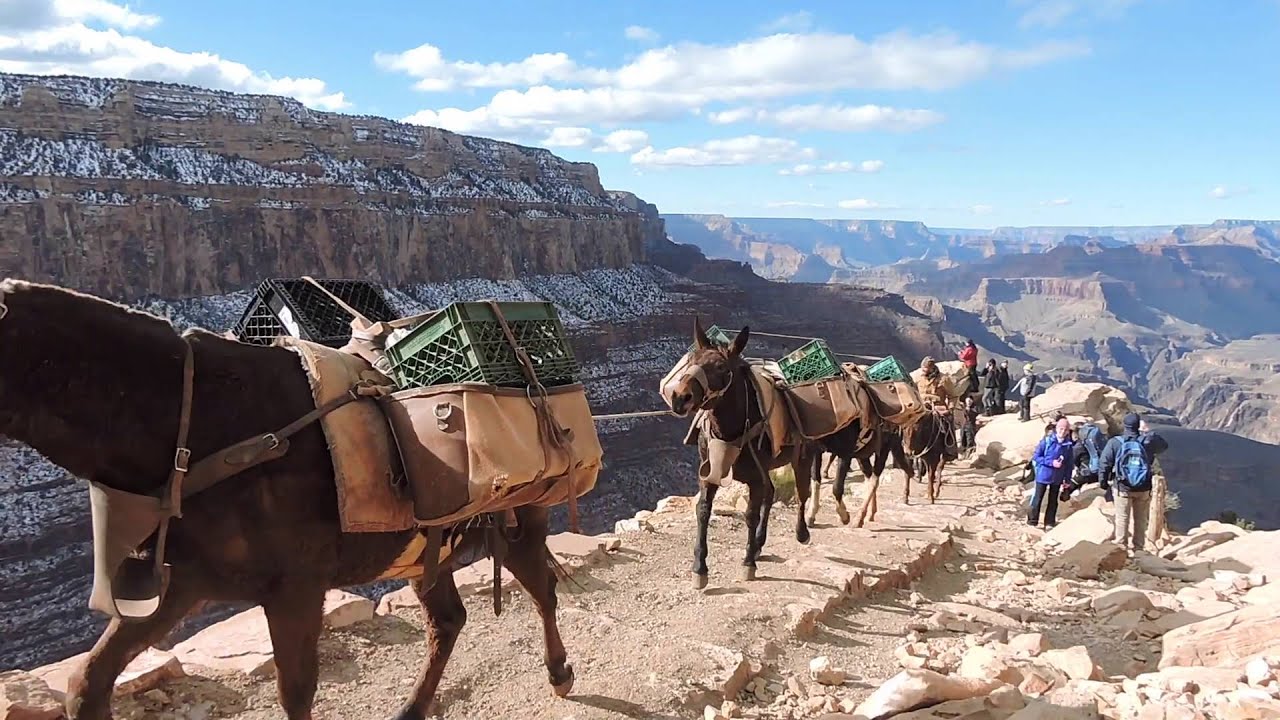 WESTERN USA ROAD TRIP - YouTube