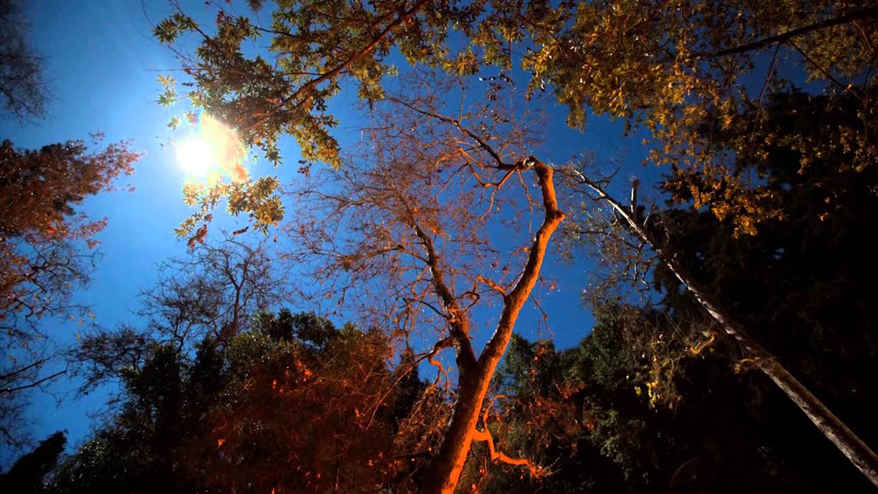Yosemite moon timelapse HD (Omnislider and Canon 5D) - YouTube