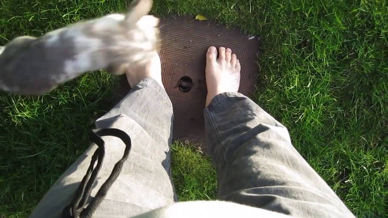 Rabbit running in circles around me - YouTube