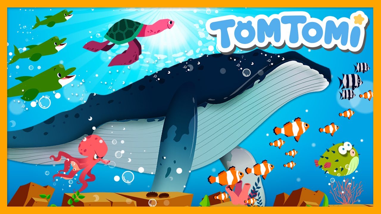Hoy Hoy! The Ocean Animals🐳 | Kids Song | TOMTOMI - YouTube