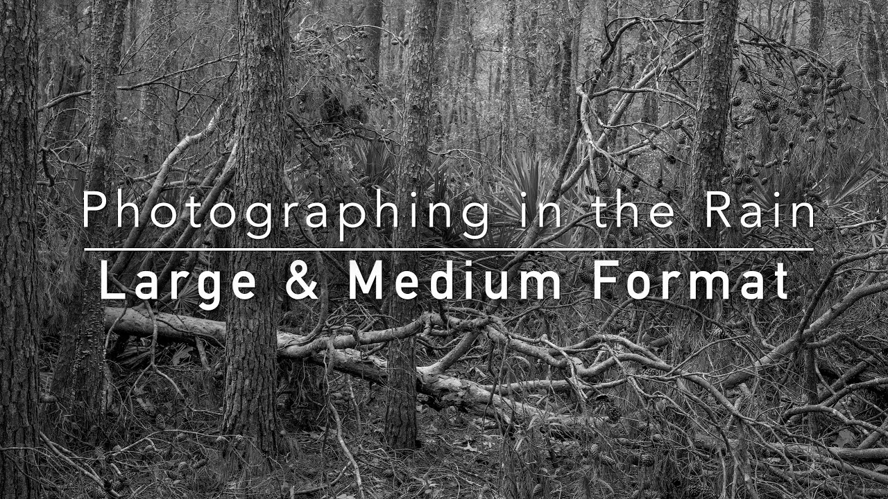 Photographing in the Rain - Large & Medium Format - YouTube