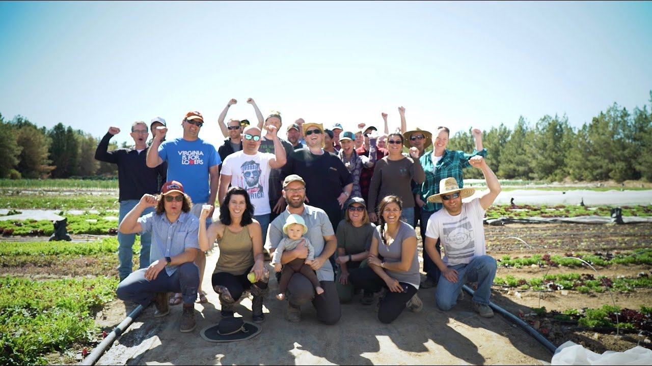 What happens at my 5-day workshops? - YouTube