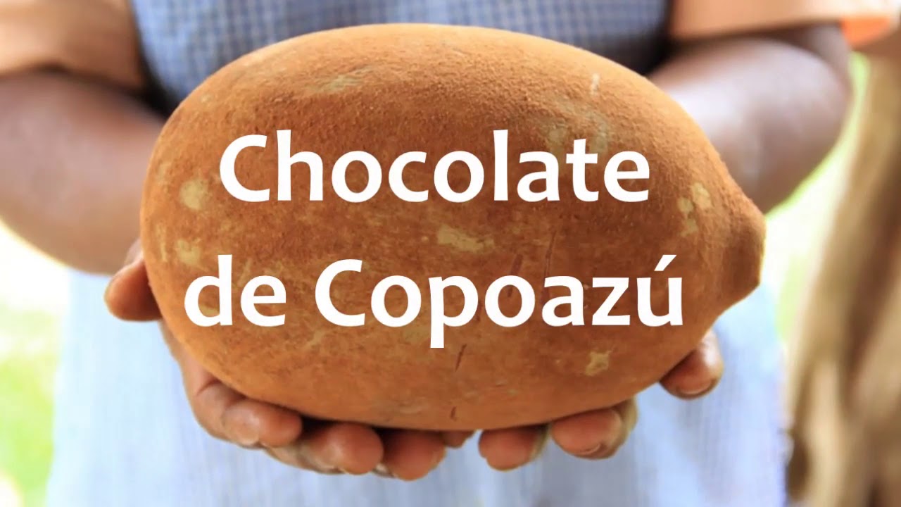 Chocolates de copoazu - YouTube