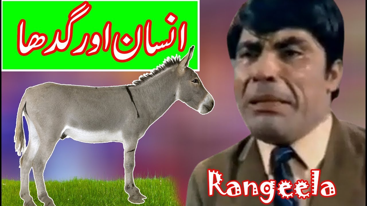 INSAN AUR GADHA Urdu Rangeela Nisho Kamal Aslam Pervez Rozina funny ...