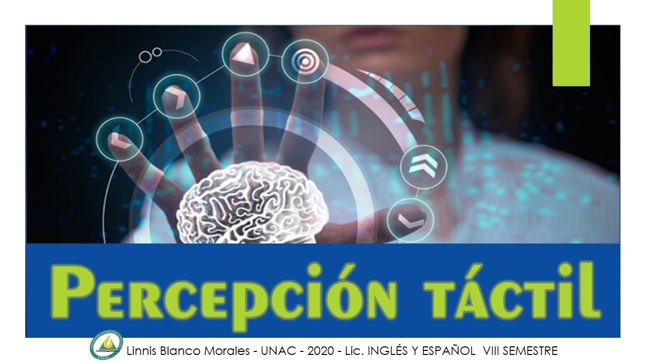 Percepción táctil - YouTube