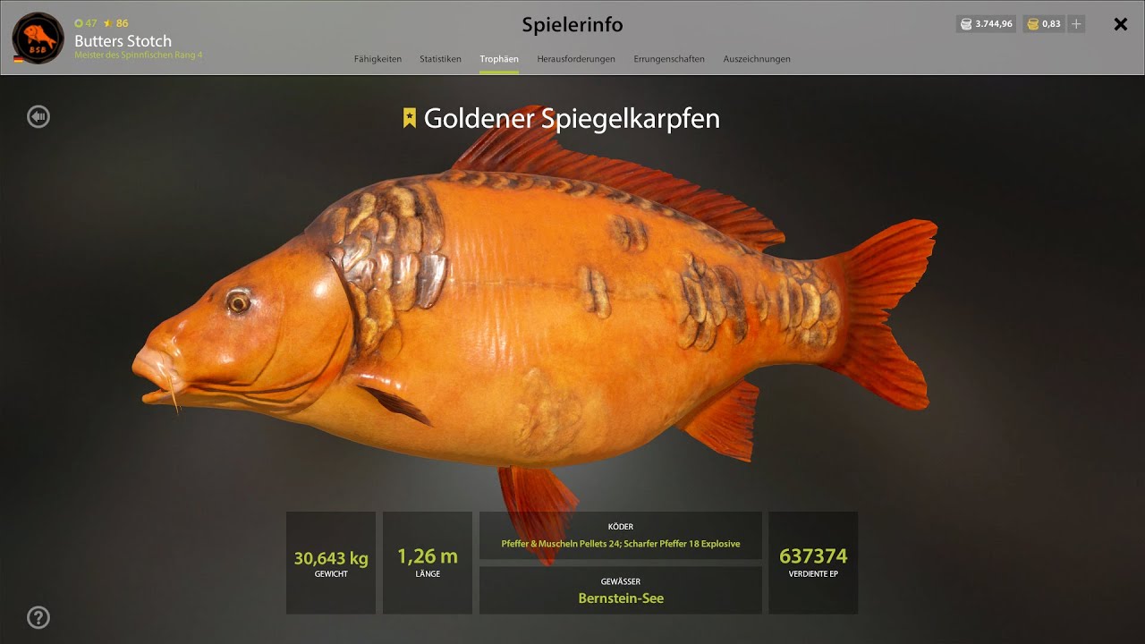 Russian Fishing 4 - Amber Lake - Starvas Red Carp - Mirror Trophy - YouTube