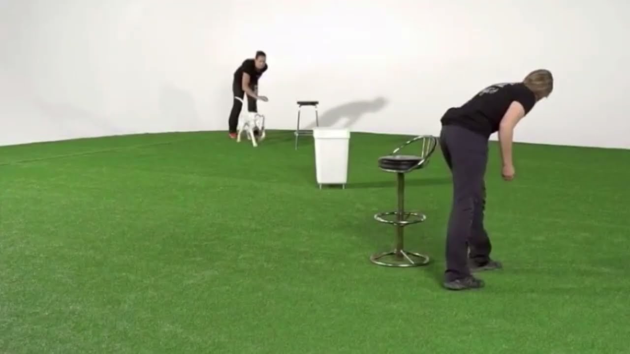 OneMind Dogs Foundation For Agility Get Inspired With FUN Training onemind-dogs-foundation-for-agility-get-inspired-with-fun-training